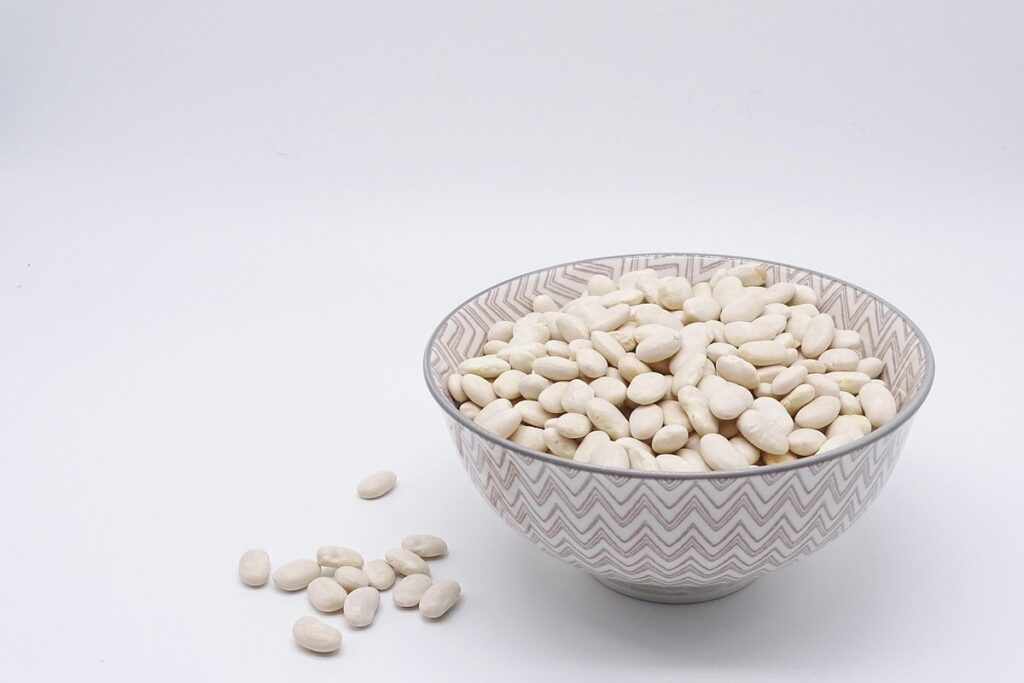 Protein for Seniors Nutrition Guide and Tips - Active Aging Daily